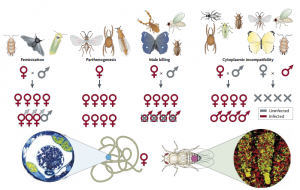 Classic scientific papers illustrations - Mind the Graph Blog