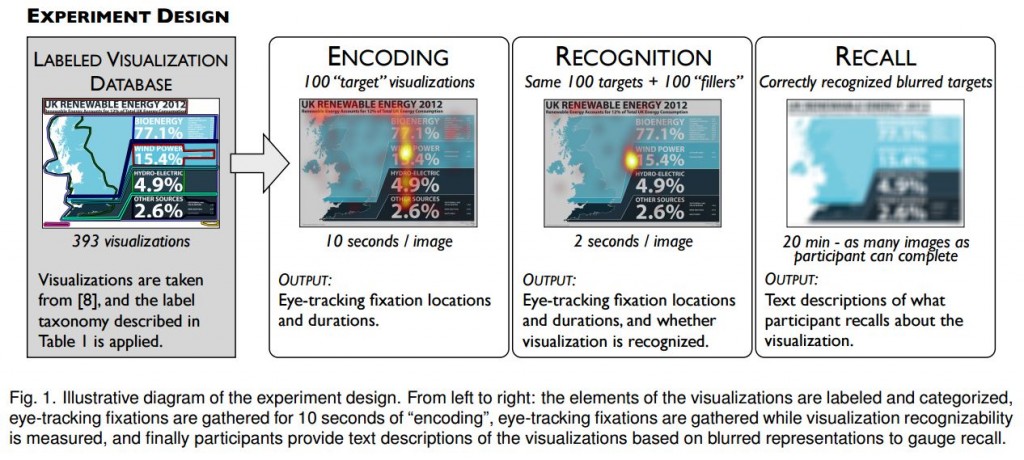 Visual cognition: What does it have to do you? - Mind the Graph Blog