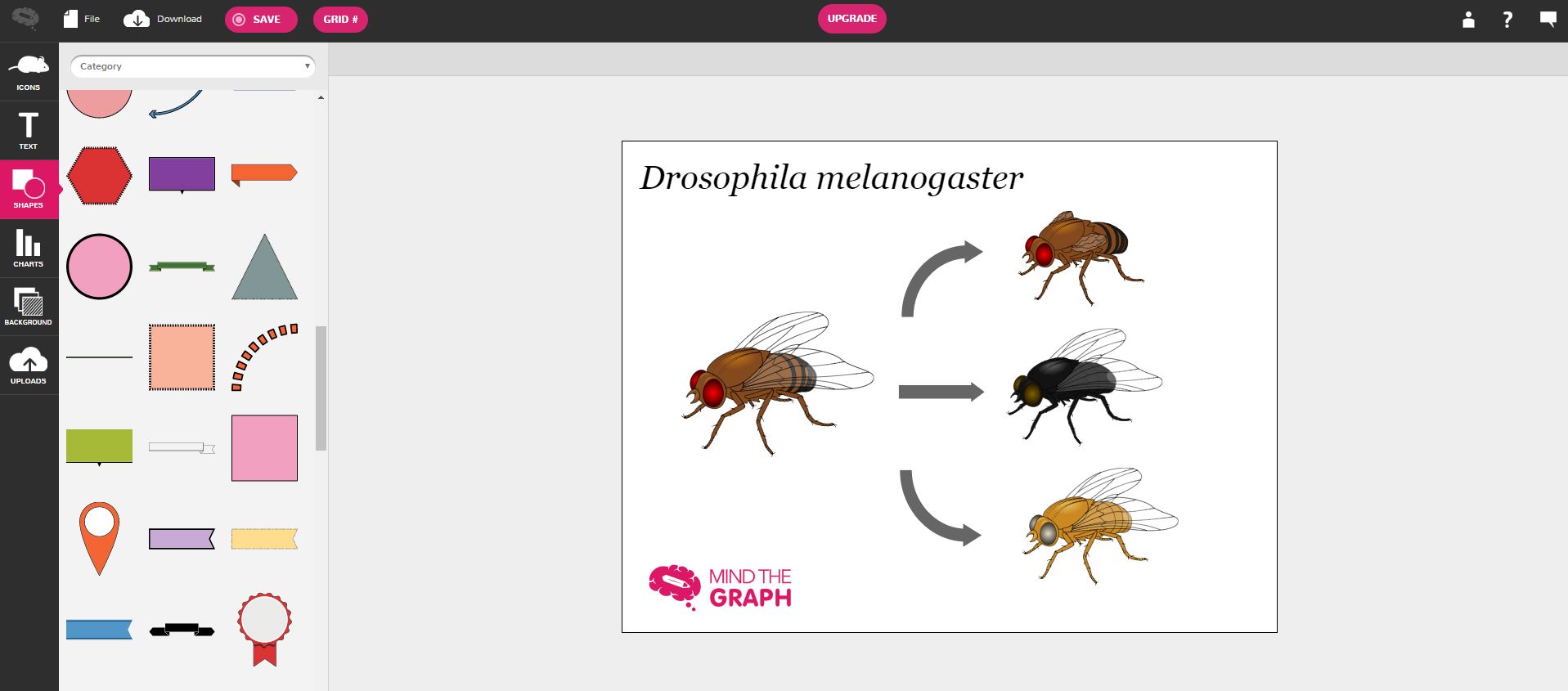 Mind the Graph 和 Overleaf 科学！- Mind the Graph 博客
