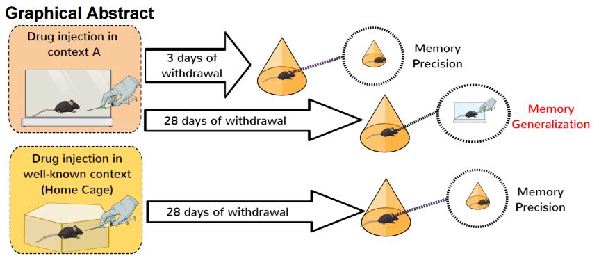 Mind the Graph: The first impression - Mind the Graph Blog