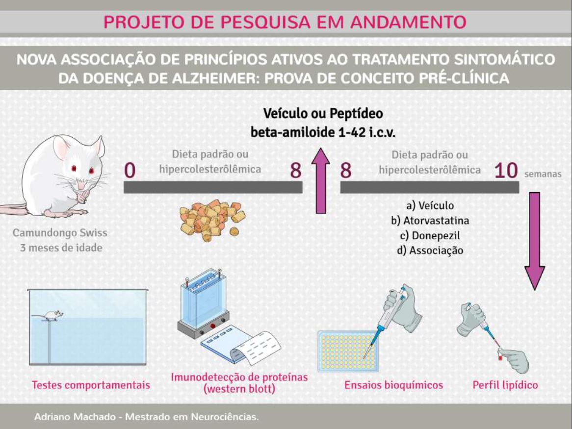 Mind the Graph: The first impression - Mind the Graph Blog
