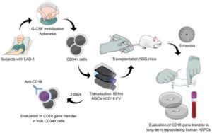 Graphical abstracts: You are 3 steps away - Mind the Graph Blog