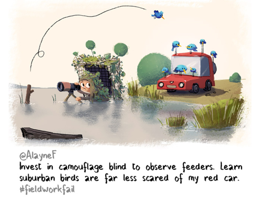 An illustrated edition: The best stories of field scientists - Mind the ...