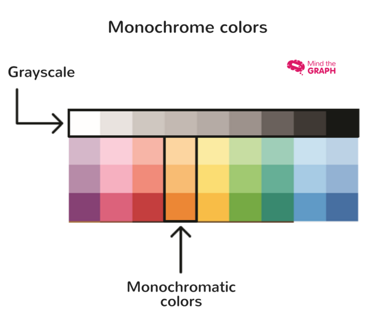 How to make an infographic #4 Let's talk about colors - Mind the Graph Blog