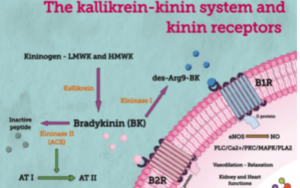 Using membranes in cell signaling graphical abstract - Mind the Graph Blog