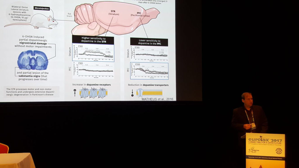 如何使用 Mind the Graph 创建科学图表 - Mind the Graph 博客