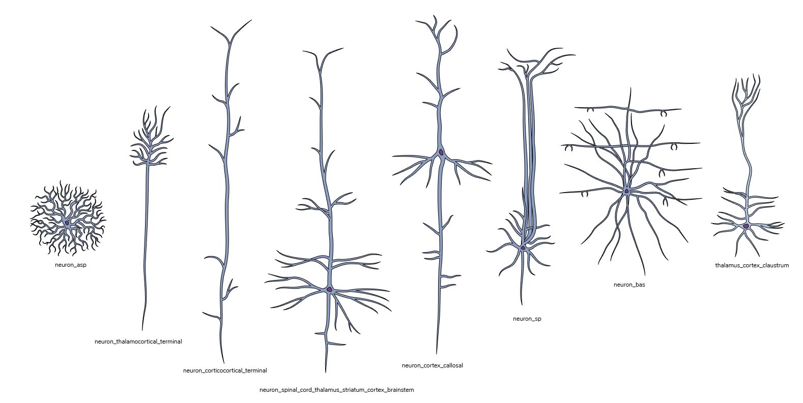 Mind the Graph Blog #3 Scientific illustrations of the week: What is ...
