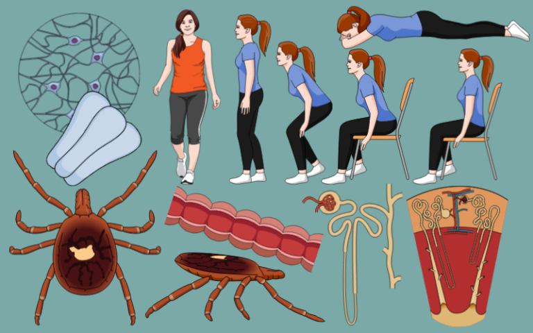 #2 Scientific illustrations of the week: What is new for you - Mind the ...