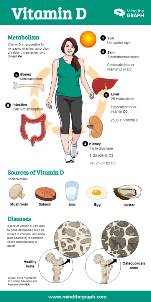 Creating a Vitamin D infographic with Mind the Graph - Mind the Graph Blog