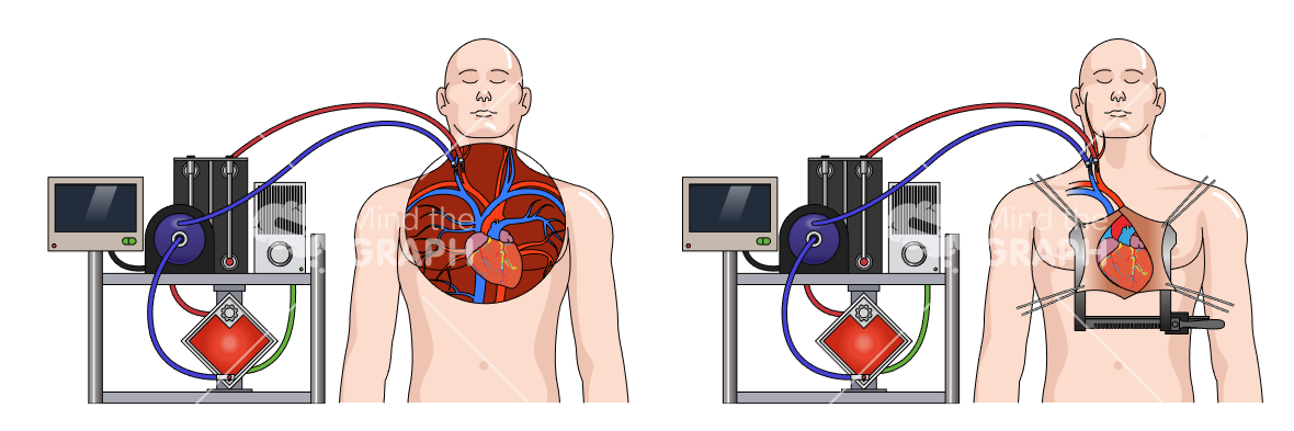 #4 Scientific illustrations of the week: What is new for you - Mind the ...