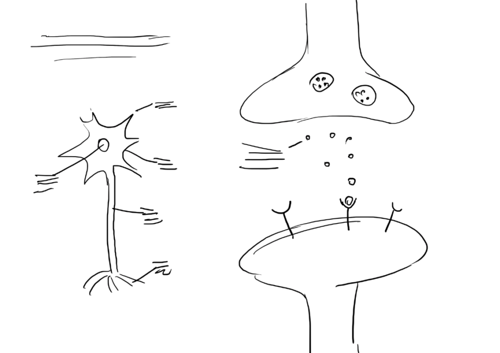 How to plan and design a graphical abstract in three steps - Mind the ...