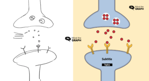 How to plan and design a graphical abstract in three steps - Mind the ...