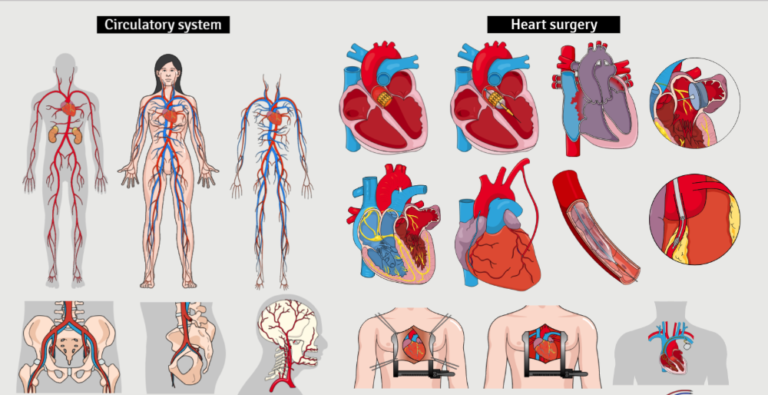 Cardiology: Get thousands of medical illustrations online