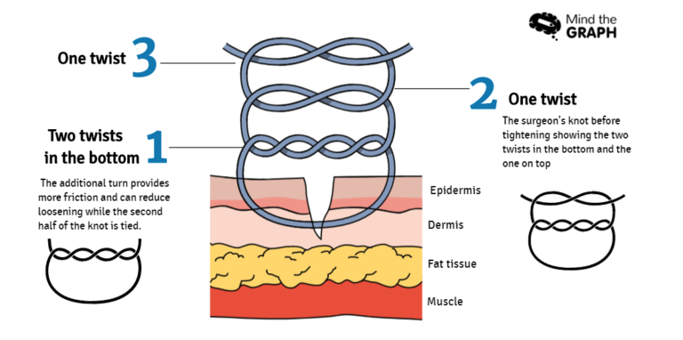 Medical illustrations for classes and presentations - Mind the Graph Blog