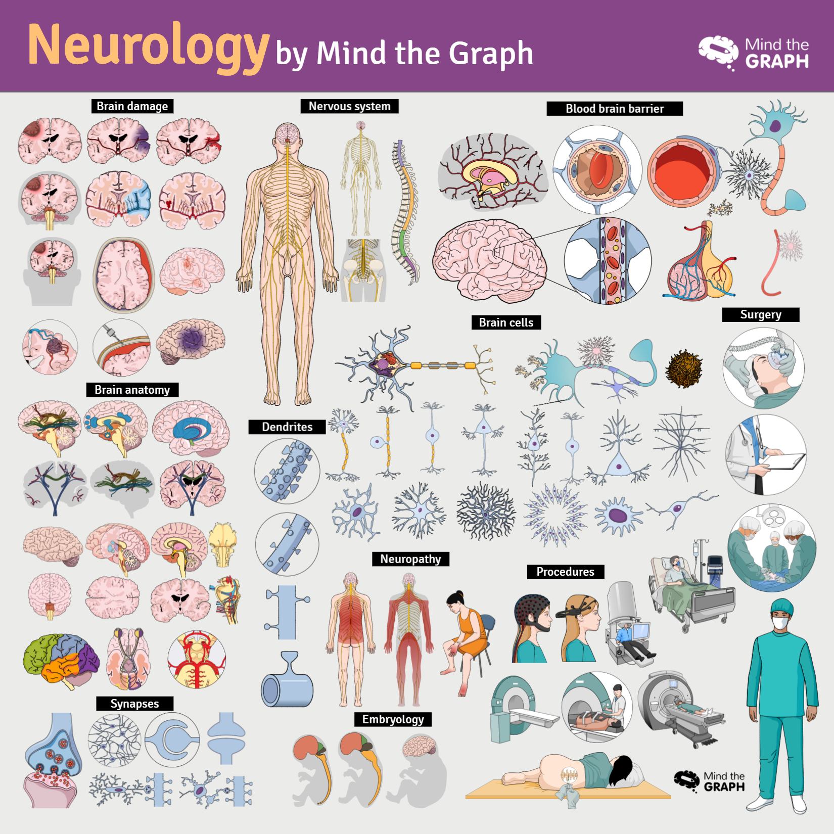 Neurological disorders: medical illustrations to understand