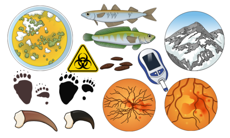 #9 Scientific illustrations of the week: What is new for you - Mind the ...