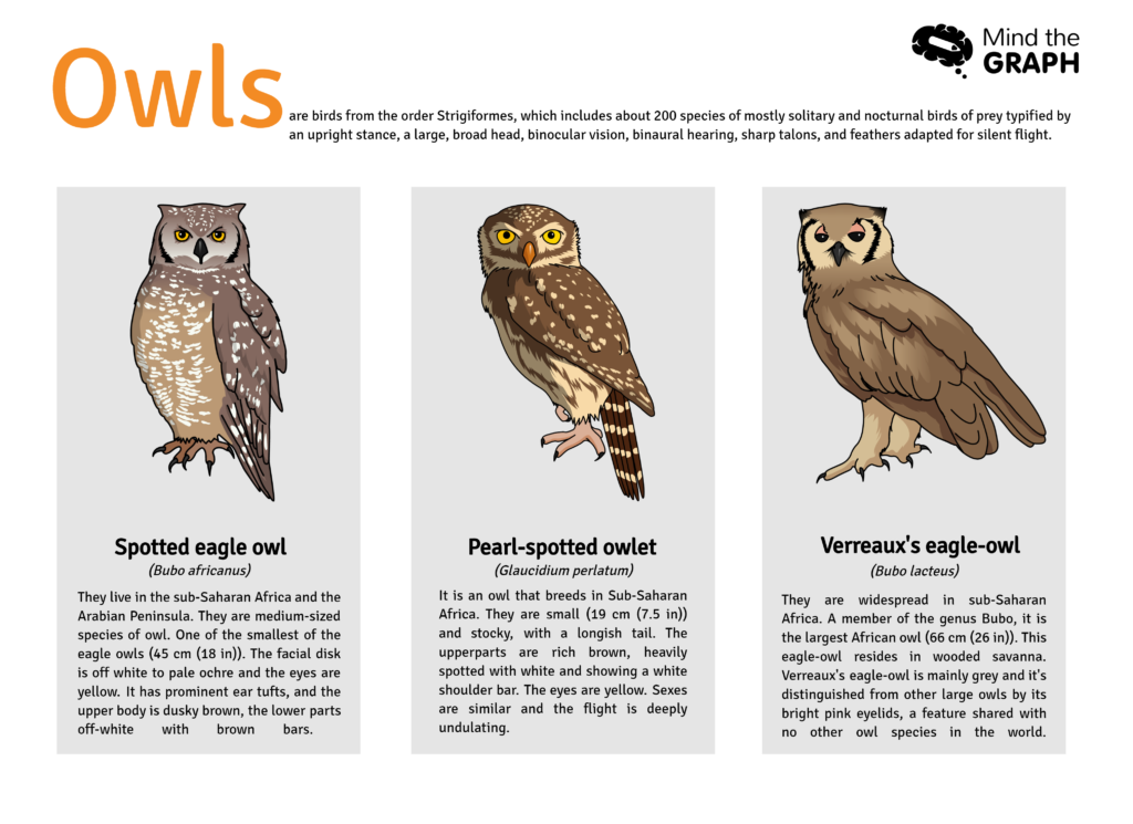 Graphic summaries: showing details of different species