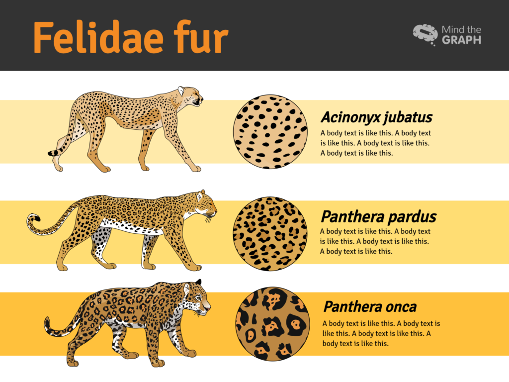 Graphic summaries: showing details of different species