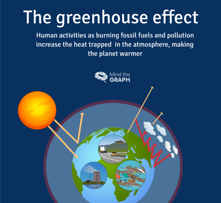 Carbon cycle and greenhouse effect - A scientific infographic