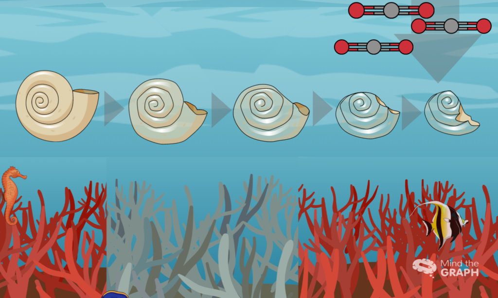 Consequences of ocean acidification on marine animals - Mind the Graph Blog