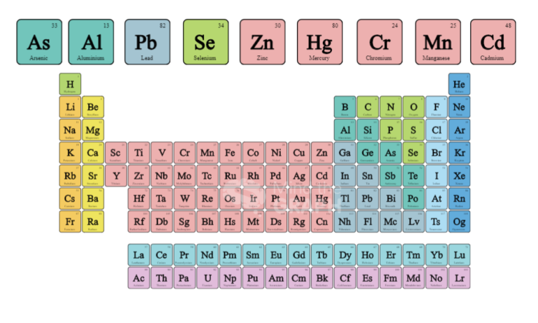 13 new science illustrations you can't miss! - See the chart