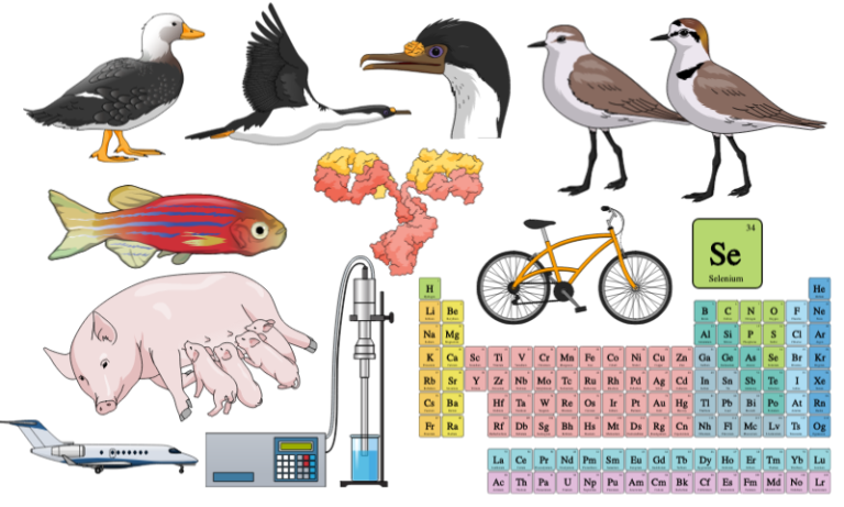 13 new science illustrations you can't miss! - See the chart