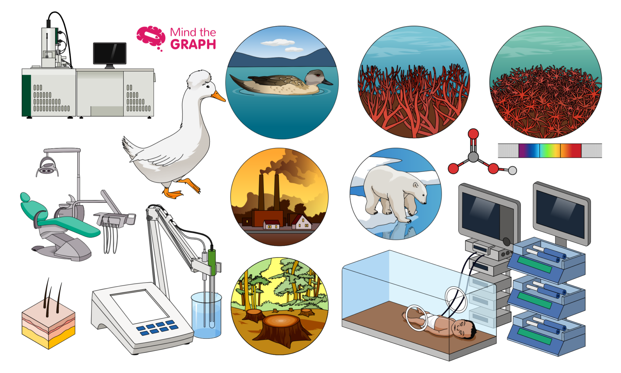 15 illustrations scientifiques : Quoi de neuf pour vous