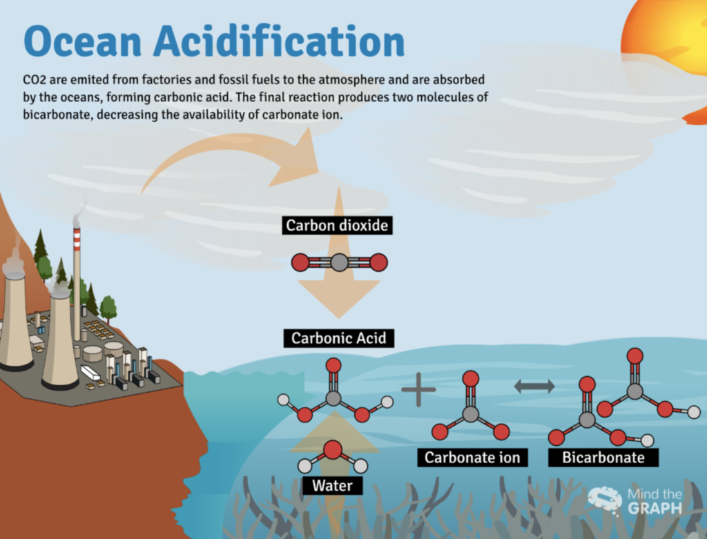 化学结构：使用插图解释化学 - Mind the Graph 博客