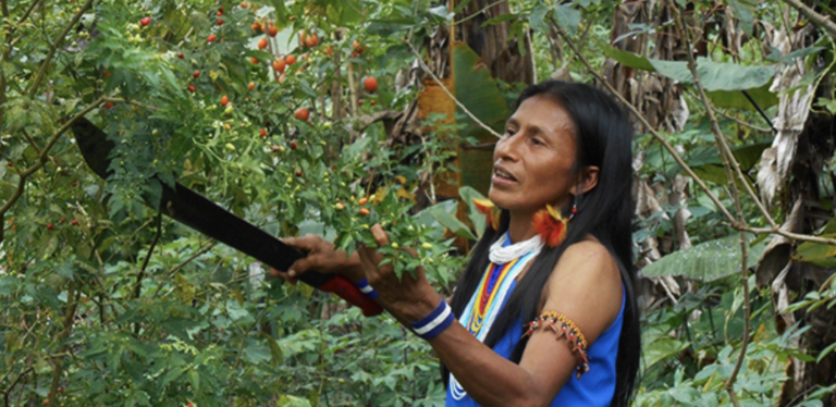 The biodiversity of the Amazon rainforest in images - Mind the Graph Blog