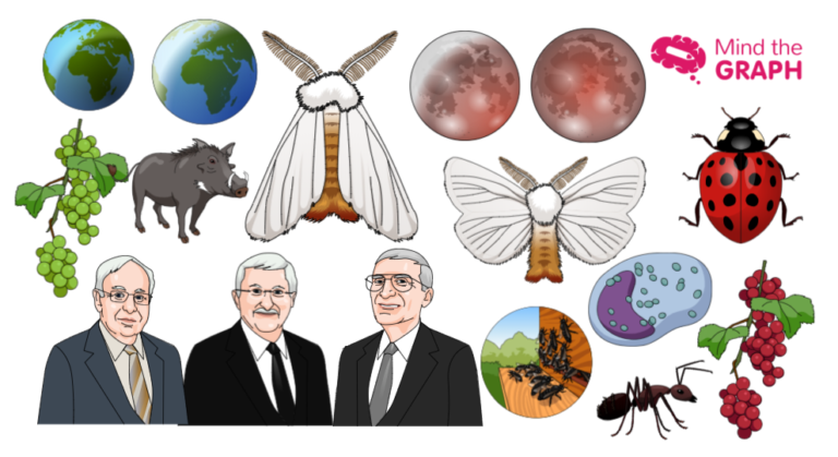 #23 Illustrations scientifiques de la semaine : A ne pas manquer ...