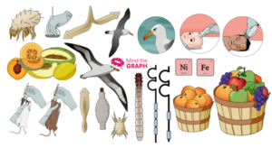 #25 Scientific illustrations of the week: Don’t miss it! - Mind the ...