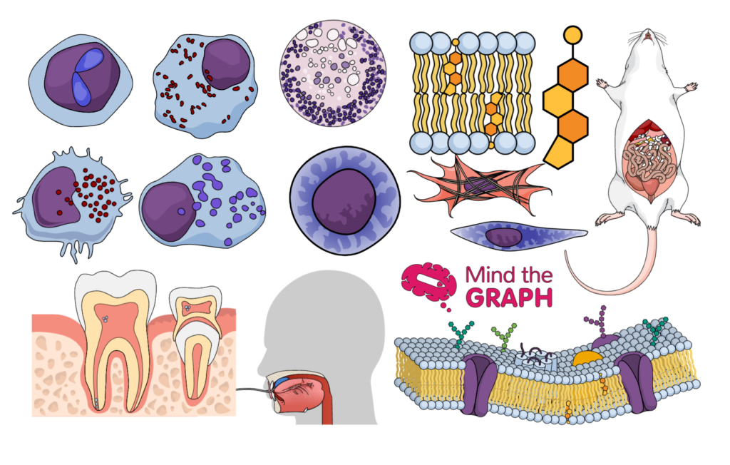 #30 The best of life science illustrations - Mind the Graph Blog