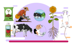 #35 Find accurate life science illustrations online - Mind the Graph Blog