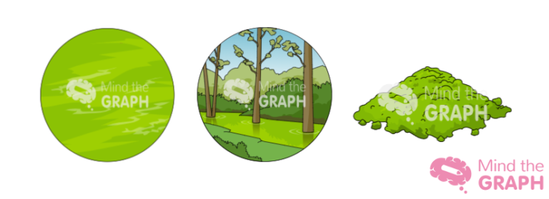 #36 Find accurate scientific illustrations online - Mind the Graph Blog