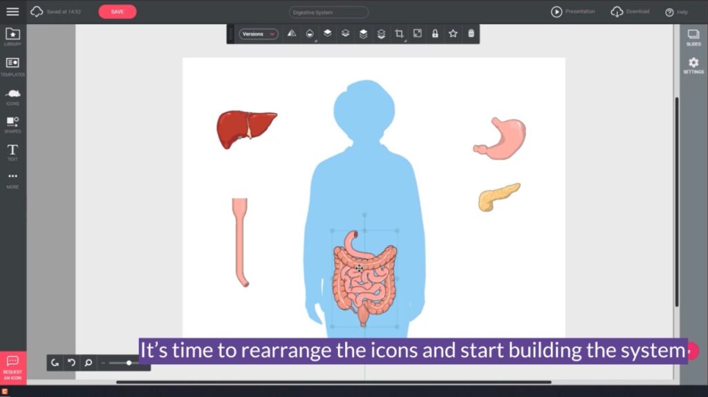Tutorial video: Building a digestive system - Mind the Graph Blog