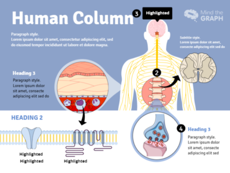 Ultimate guide to creating comprehensive graphics for your work