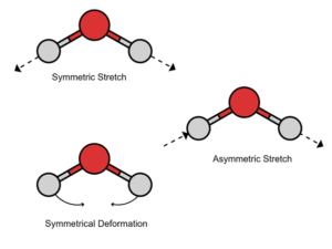symmetric-stretch - Mind the Graph Blog