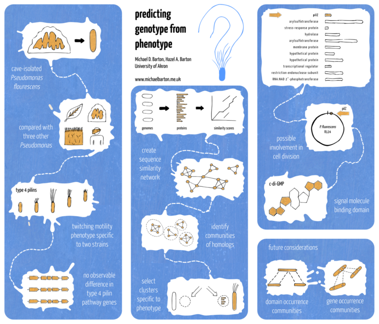 A Microbiologist’s Bible of Creating Stunning Posters - MTG