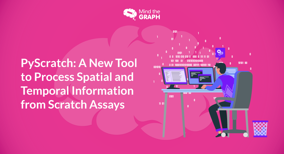 A new tool for processing spatial and temporal information