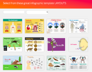 Mind the Graph vs Piktochart: Head-to-Head Comparison