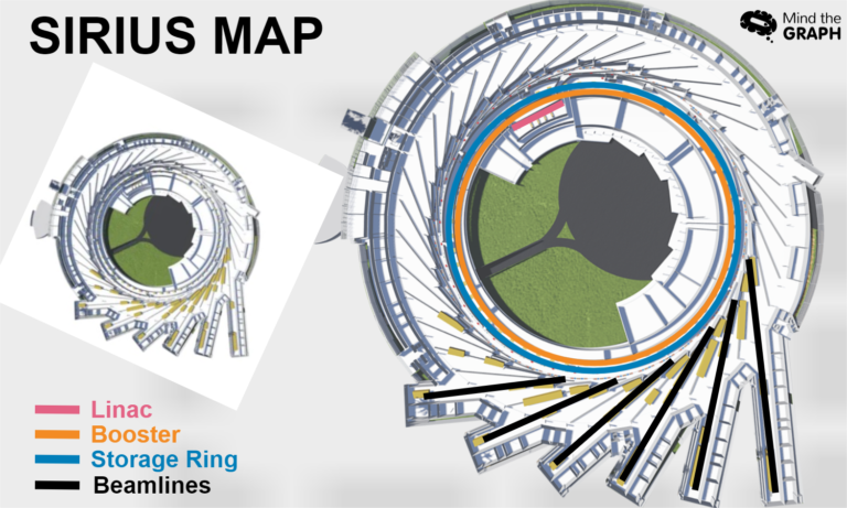 SIRIUS: The World's Brightest Synchrotron Light