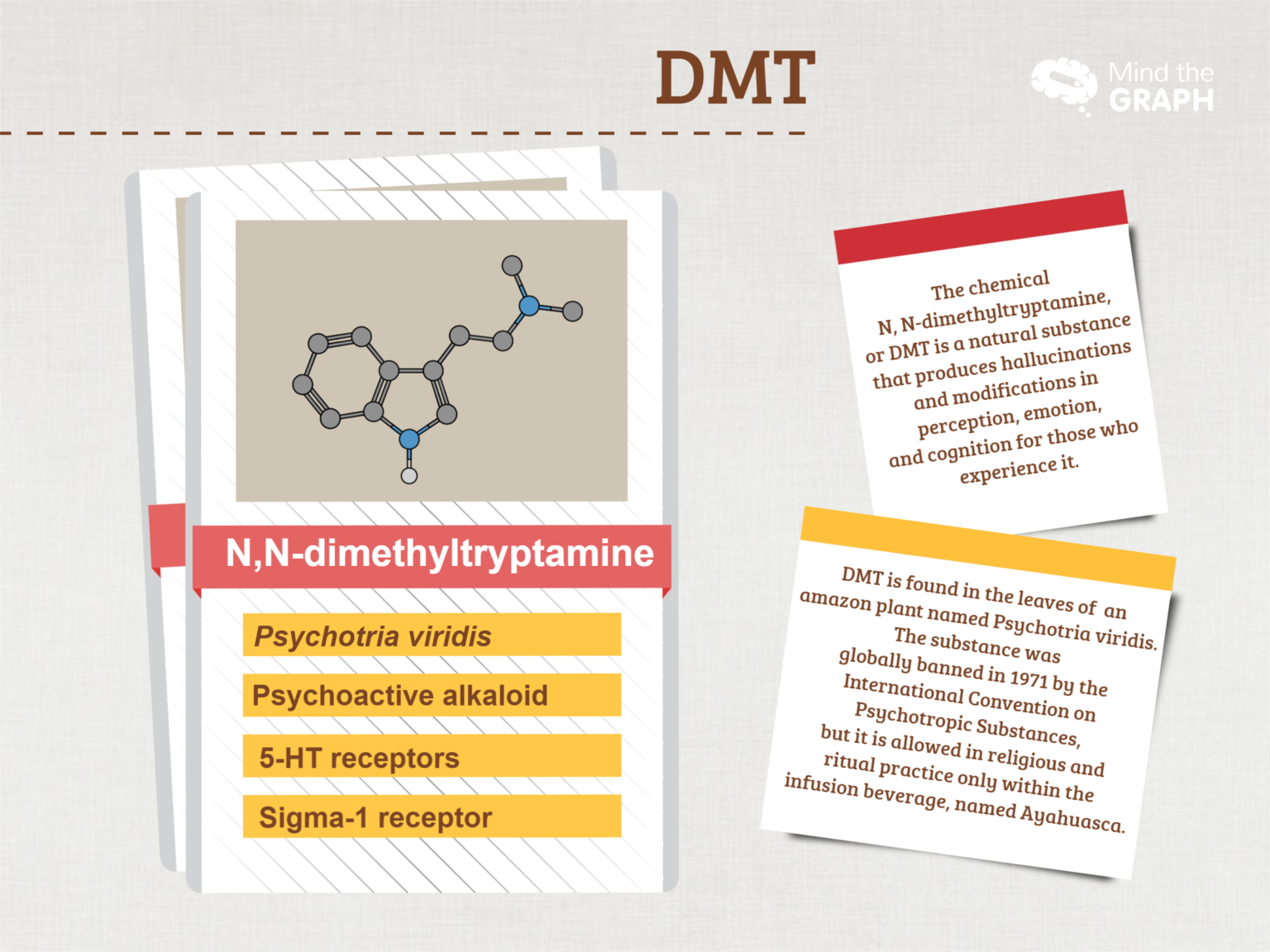O que é DMT? Tudo o que os pesquisadores sabem sobre o DMT - MTG