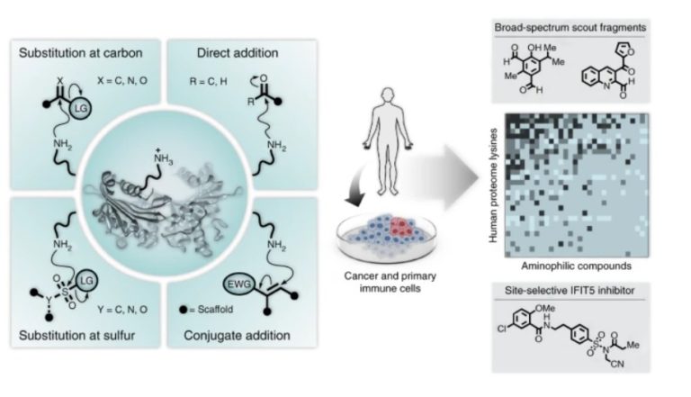 Nature and graphical abstracts? - MTG