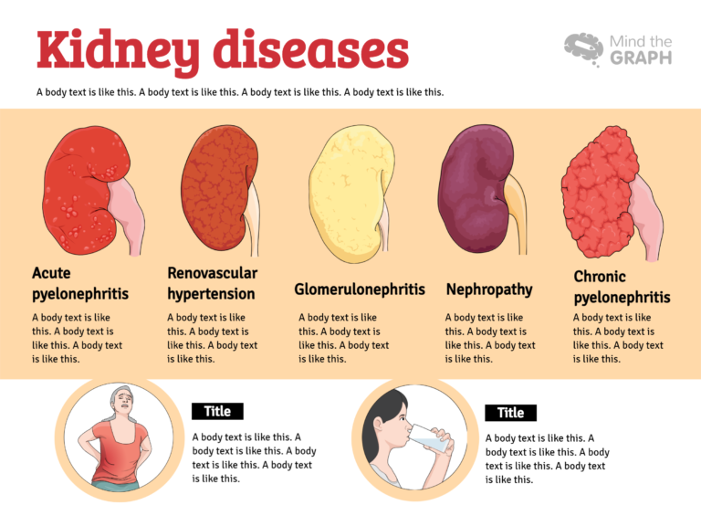 Kidneys Everything To Create Your Graphical Abstract Mind The Graph Blog