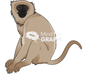 Motivační taktiky: Matematika systému odměn - MTG