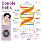 Scientific illustration: The key to a world of visual science - MTG
