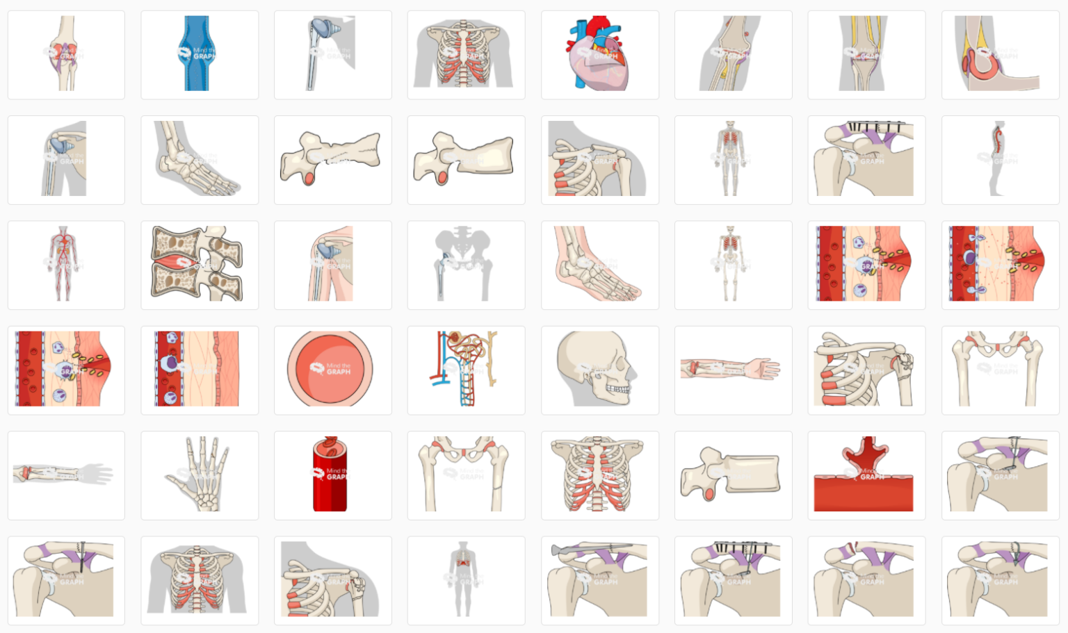 Scientific illustration: The key to a world of visual science - MTG