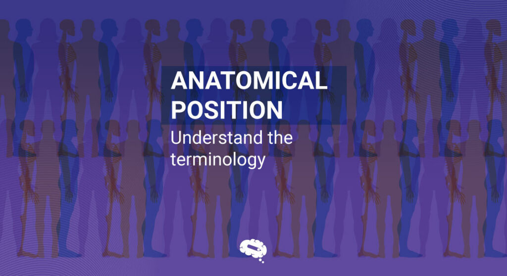 Anatomik Pozisyon: Terminolojiyi anlamak