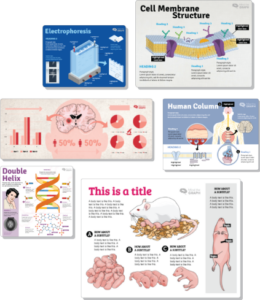 Visual Abstract Template: Draw Attention to Your Paper