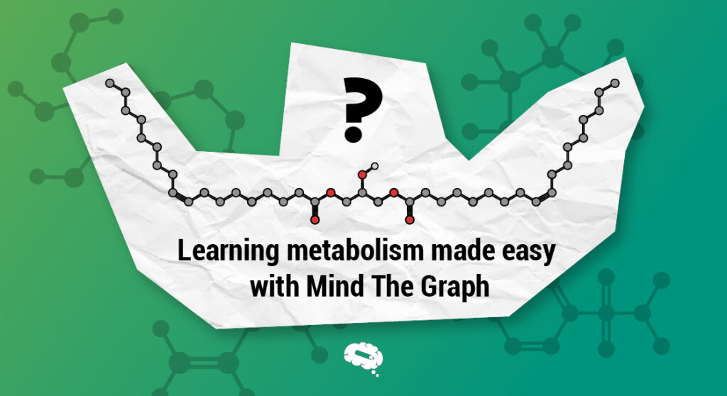 Learning metabolism made easy with Mind The Graph